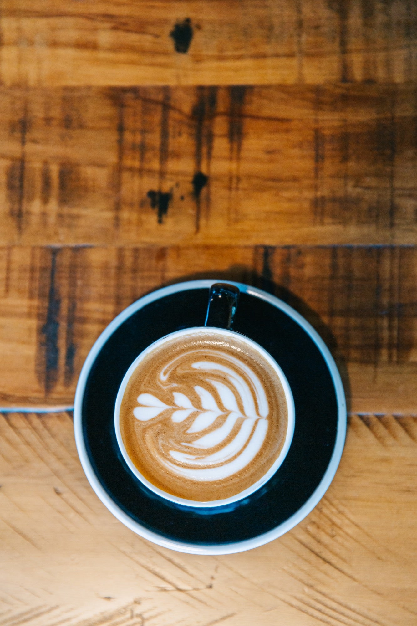 Prima Roastery Fairtrade Organic Coffee